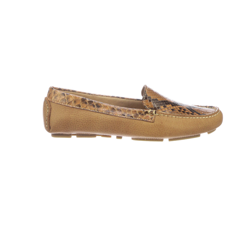 Women's Python - Lucchese