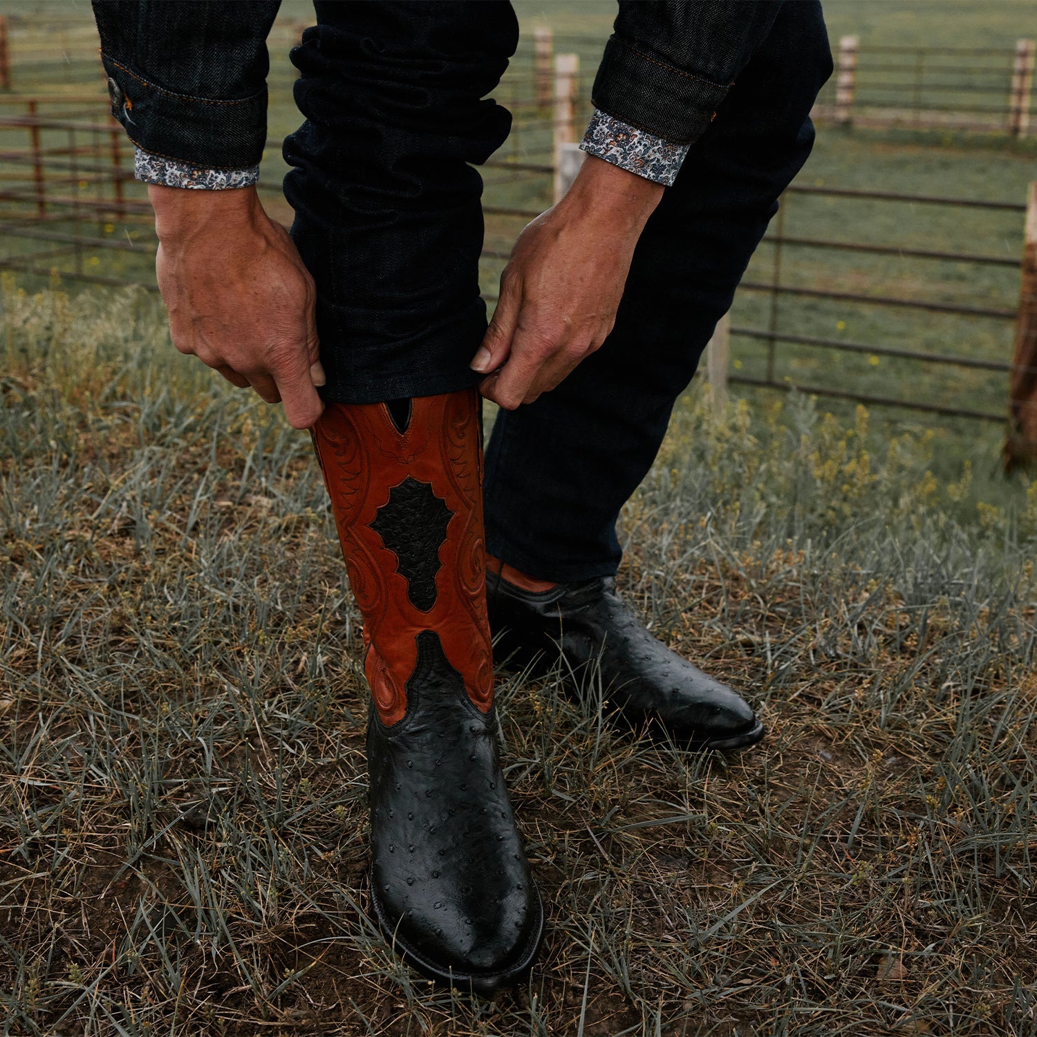 Lucchese Cowboy Boots